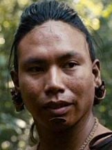 Apocalypto - Film 2006 - FILMSTARTS.de