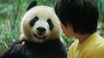 Moon, der Panda - Film 2025 - FILMSTARTS.de
