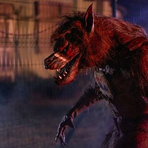 Werewolves - Film 2024 - FILMSTARTS.de