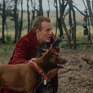 Rippy - Das Killerkänguru - Film 2024 - FILMSTARTS.de