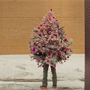 Une Langue Universelle - Film 2024 - FILMSTARTS.de