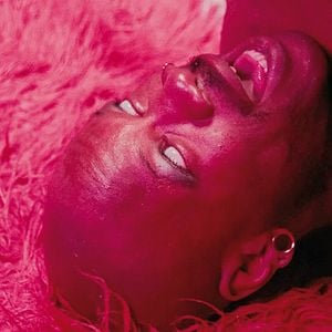 The Visitor - Film 2024 - FILMSTARTS.de