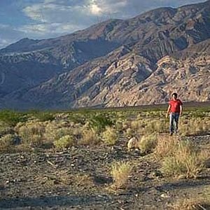 Destricted - Film 2006 - FILMSTARTS.de