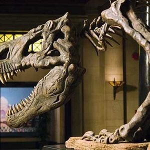 Nachts im Museum - Film 2006 - FILMSTARTS.de