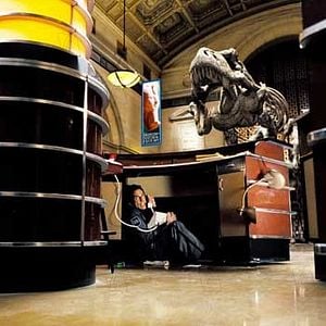 Nachts im Museum - Film 2006 - FILMSTARTS.de