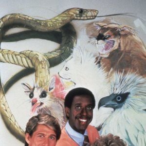 Michael D. Roberts - FILMSTARTS.de