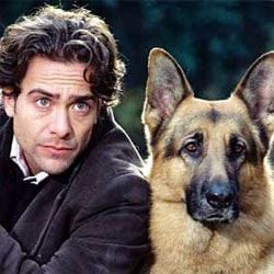 Bilder und Fotos zur Serie Kommissar Rex - FILMSTARTS.de