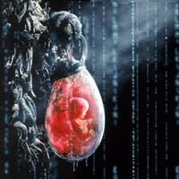 Matrix - Film 1999 - FILMSTARTS.de