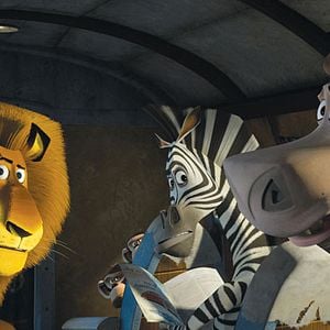 Madagascar 2 - Film 2008 - FILMSTARTS.de