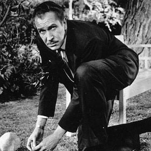 Die Fliege: Bilder und Fotos - FILMSTARTS.de