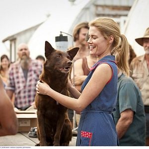 Red Dog - Film 2011 - FILMSTARTS.de