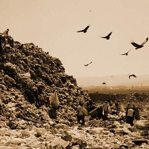 Waste Land - Dokumentarfilm 2010 - FILMSTARTS.de