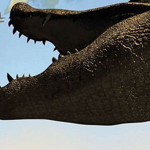 Mega Python vs. Gatoroid - Film 2011 - FILMSTARTS.de