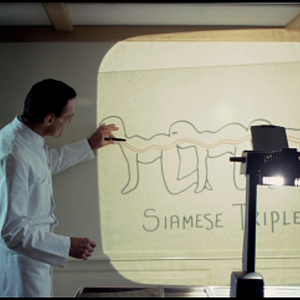 Human Centipede - Film 2009 - FILMSTARTS.de