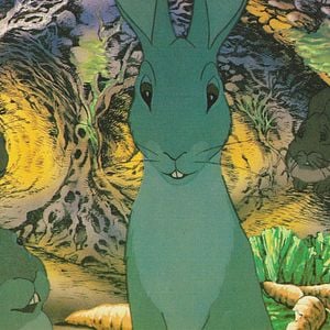 Watership Down - Unten am Fluß - Film 1978 - FILMSTARTS.de