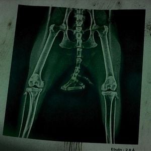 Thale - Ein dunkles Geheimnis - Film 2012 - FILMSTARTS.de