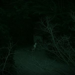 Atrocious - Film 2010 - FILMSTARTS.de