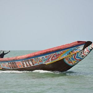 Die Piroge - Film 2012 - FILMSTARTS.de