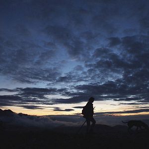 Die Wand - Film 2012 - FILMSTARTS.de