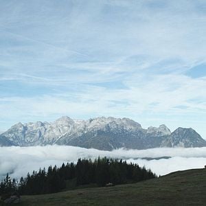 Die Wand - Film 2012 - FILMSTARTS.de