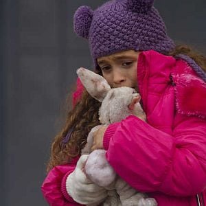 Code Red - Film 2013 - FILMSTARTS.de