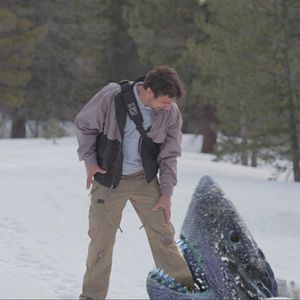 Snow Sharks - Film 2013 - FILMSTARTS.de