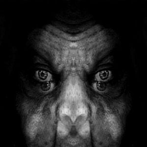 Dabbe 5 - Film 2014 - FILMSTARTS.de