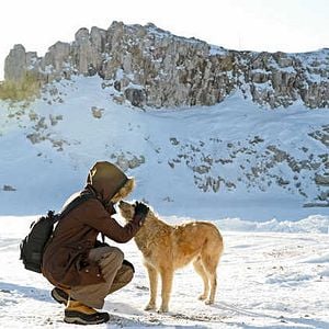 The Timber - Film 2014 - FILMSTARTS.de