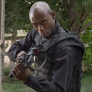 The Guest - Film 2014 - FILMSTARTS.de