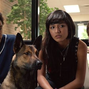 Max - Film 2015 - FILMSTARTS.de