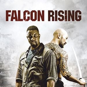 Falcon Rising - Film 2014 - FILMSTARTS.de