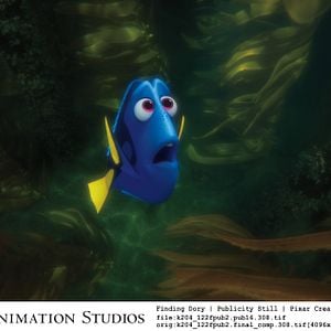 Findet Dorie - Film 2016 - FILMSTARTS.de