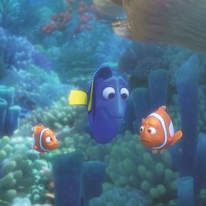 Findet Dorie - Film 2016 - FILMSTARTS.de