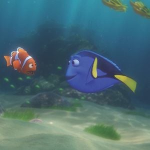 Findet Dorie - Film 2016 - FILMSTARTS.de