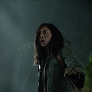 Predator - Upgrade - Film 2018 - FILMSTARTS.de