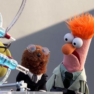 Bilder und Fotos auf Und jetzt: Die Muppets! Staffel 1 - FILMSTARTS.de