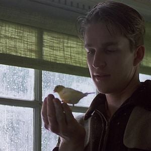 Birdy - Film 1984 - FILMSTARTS.de