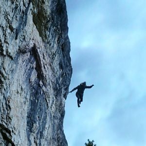 Survive - Film 2022 - FILMSTARTS.de