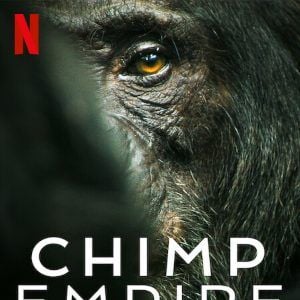 Bilder und Fotos zur Serie Chimp Empire - FILMSTARTS.de