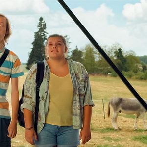 Super Drunk - Sternhagelvoll - Film 2023 - FILMSTARTS.de