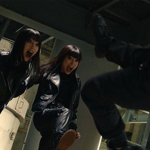 Mad Cats - Film 2023 - FILMSTARTS.de