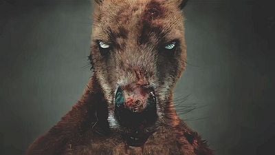 Rippy - Das Killerkänguru - Film 2024 - FILMSTARTS.de