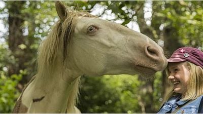 Wendy - Der Film - Film 2017 - FILMSTARTS.de