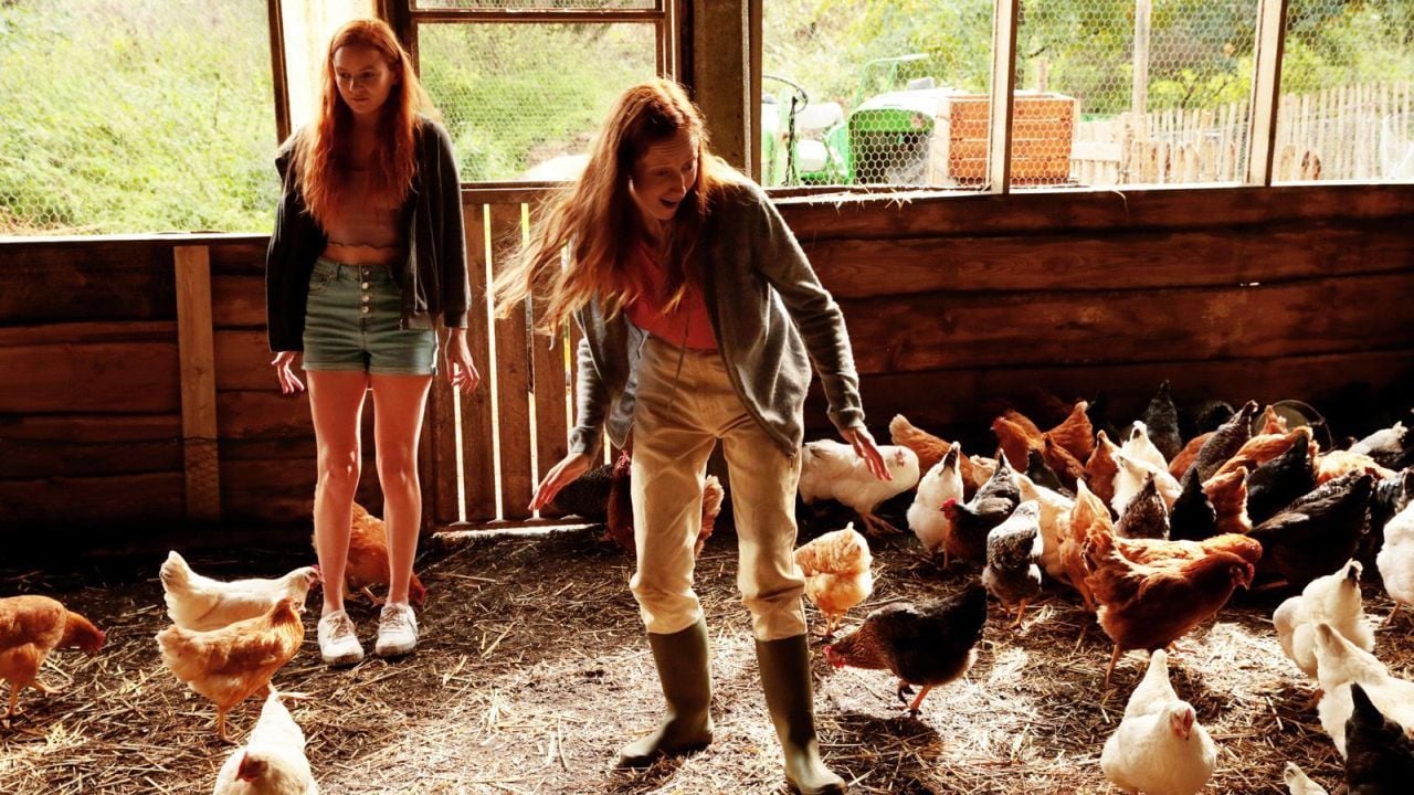 Kritik zu Funny Birds - Das Gelbe vom Ei : Offenbar braucht selbst ein ...