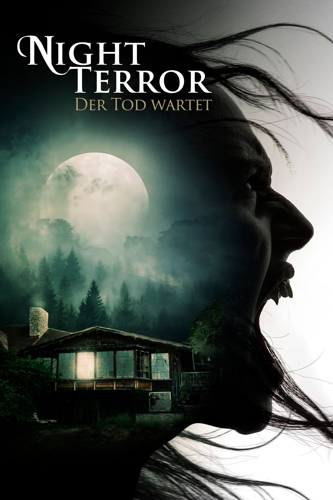 Night Terror - Der Tod wartet: schauspieler, regie, produktion - Filme besetzung und stab ...