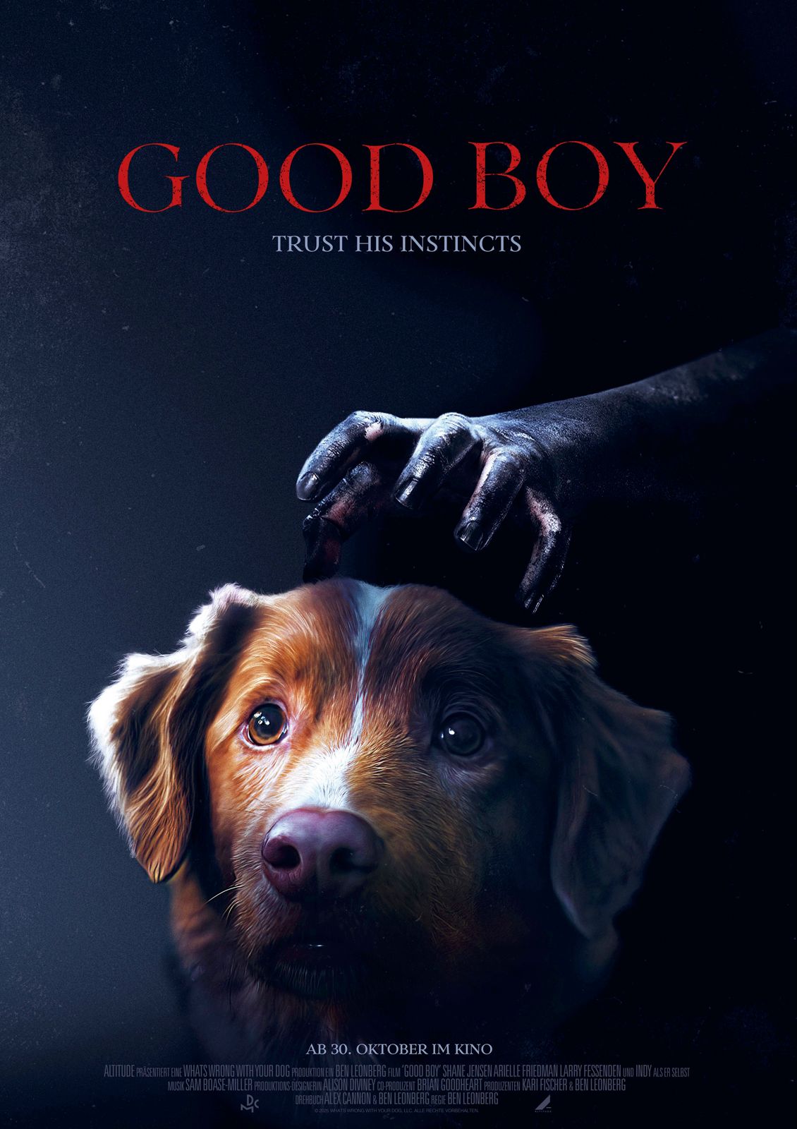 Kinoprogramm für Good Boy - Trust His Instincts in Schleswig - FILMSTARTS.de