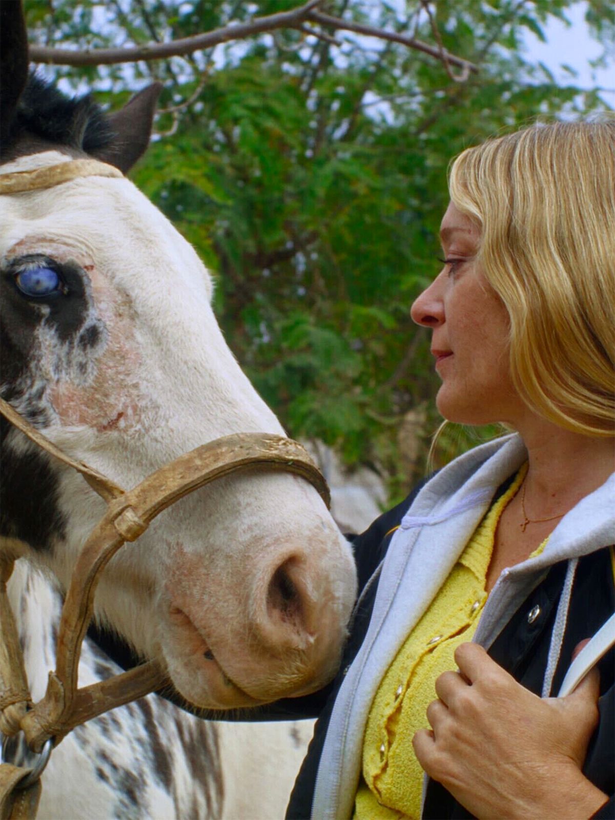 Magic Farm: schauspieler, regie, produktion - Filme besetzung und stab - FILMSTARTS.de