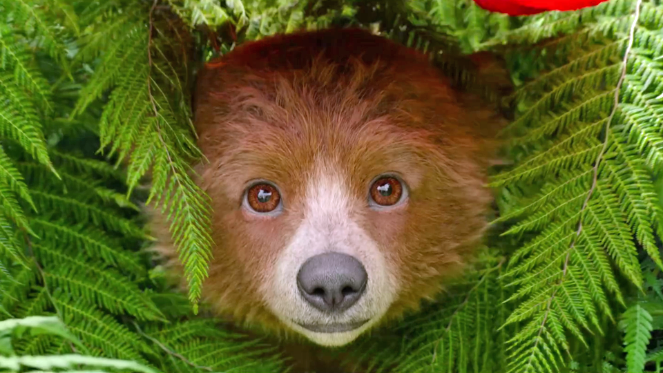 Paddington in Peru Trailer - Paddington in Peru Trailer (3) OV ...