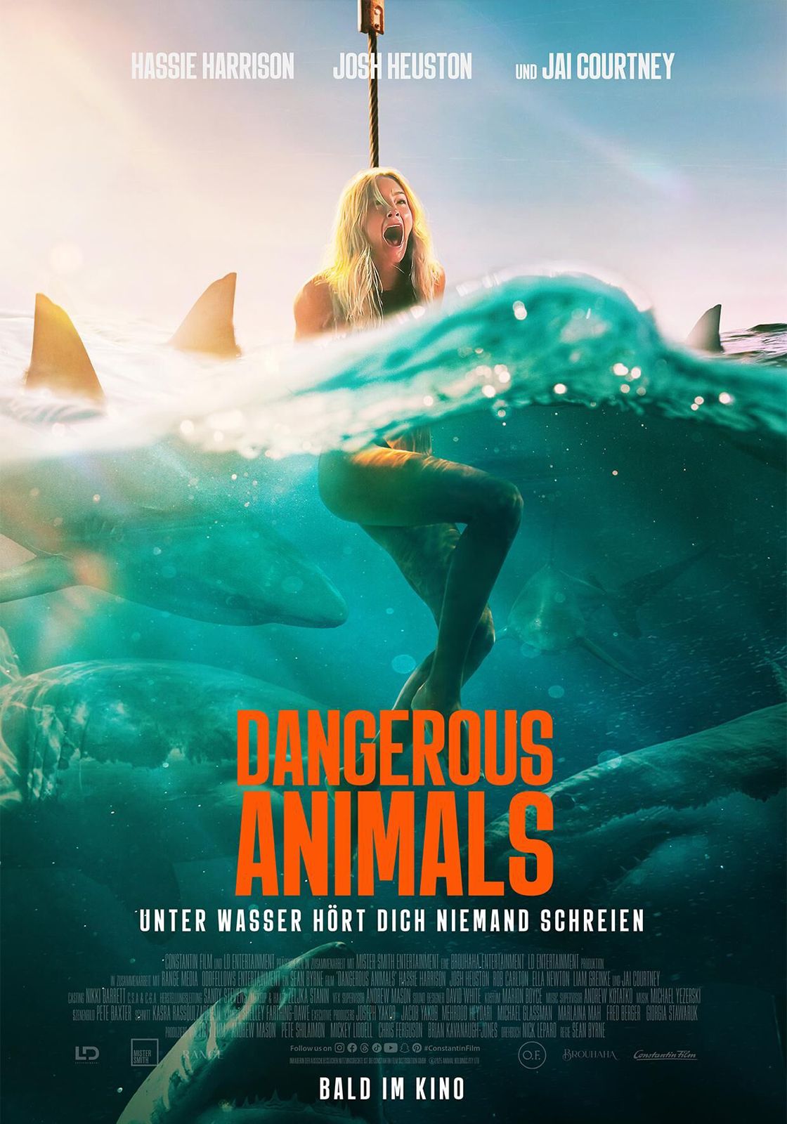 Dangerous Animals: Kinoprogramm - FILMSTARTS.de