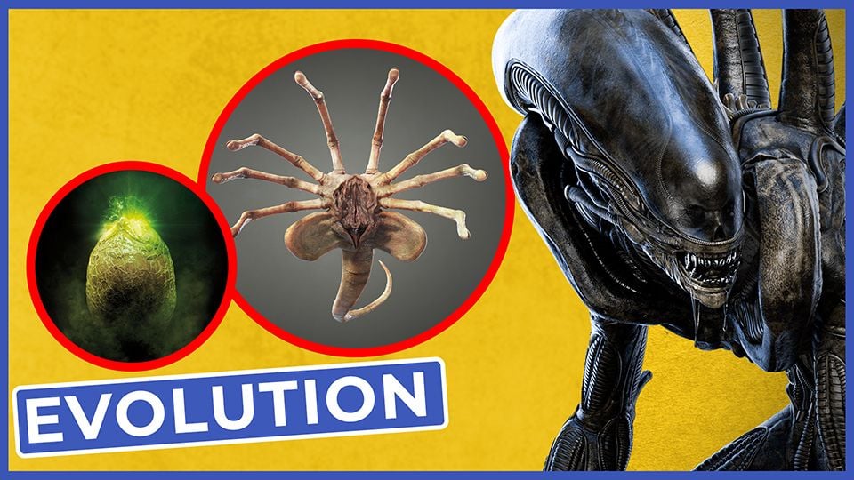 Prometheus - Dunkle Zeichen Filmreportagen - Alien: Die Evolution des ...